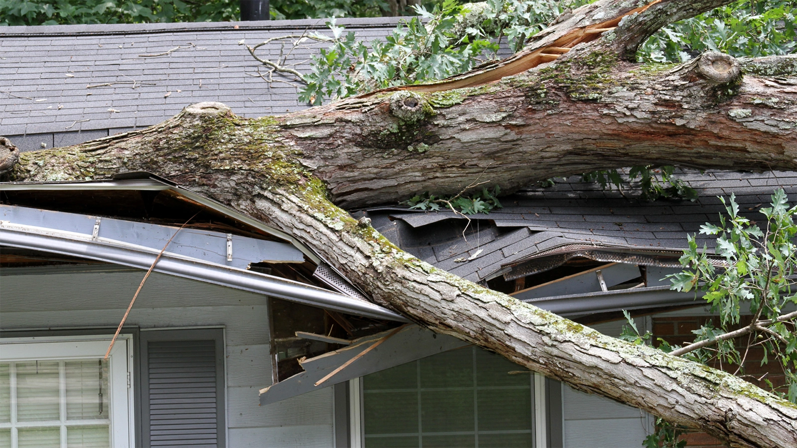 Does Home Insurance Cover Wind Damage? Find Out Now